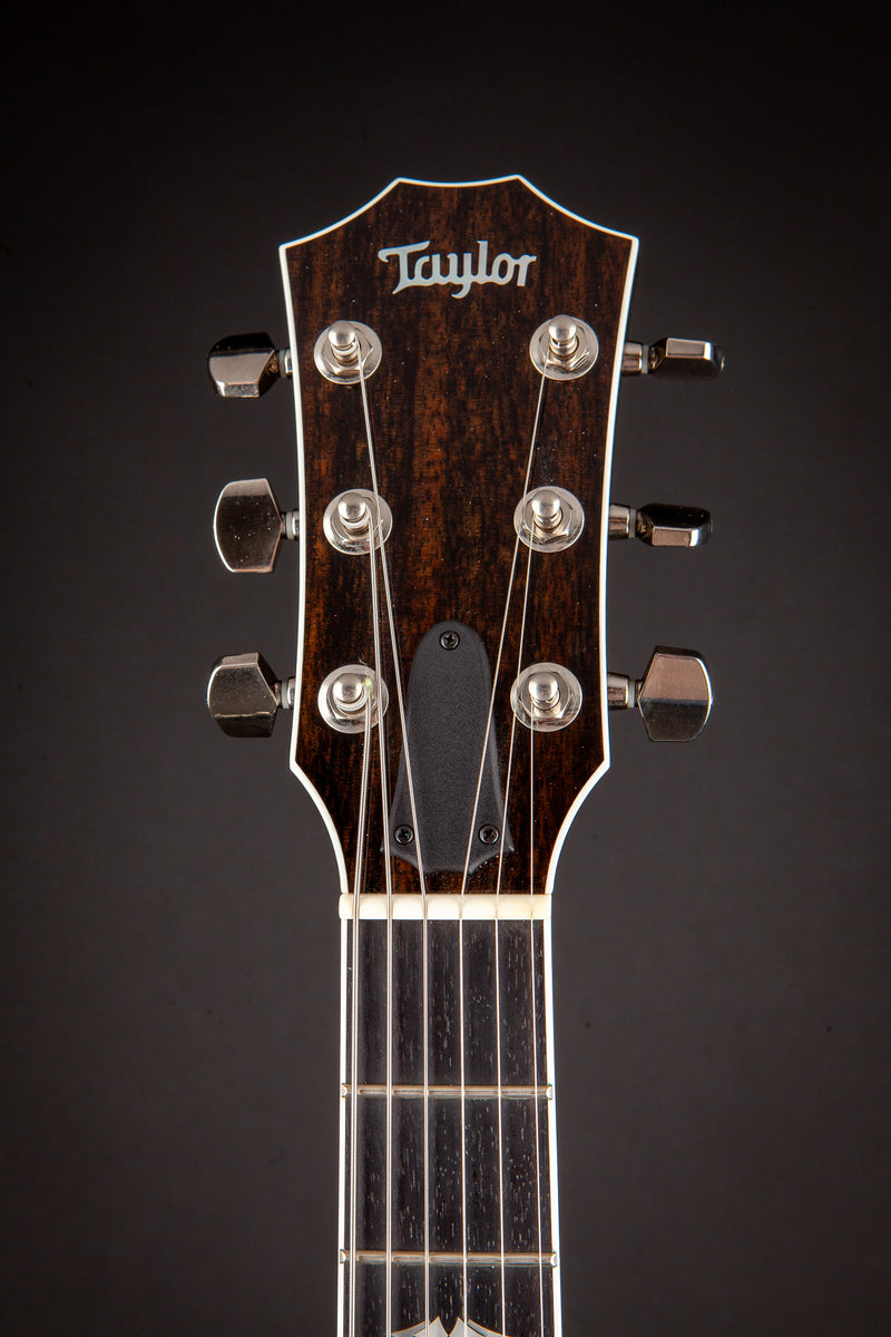 Taylor: T5z Pro w/ Curly Maple Top - Faded Denim #1105196138 – World ...