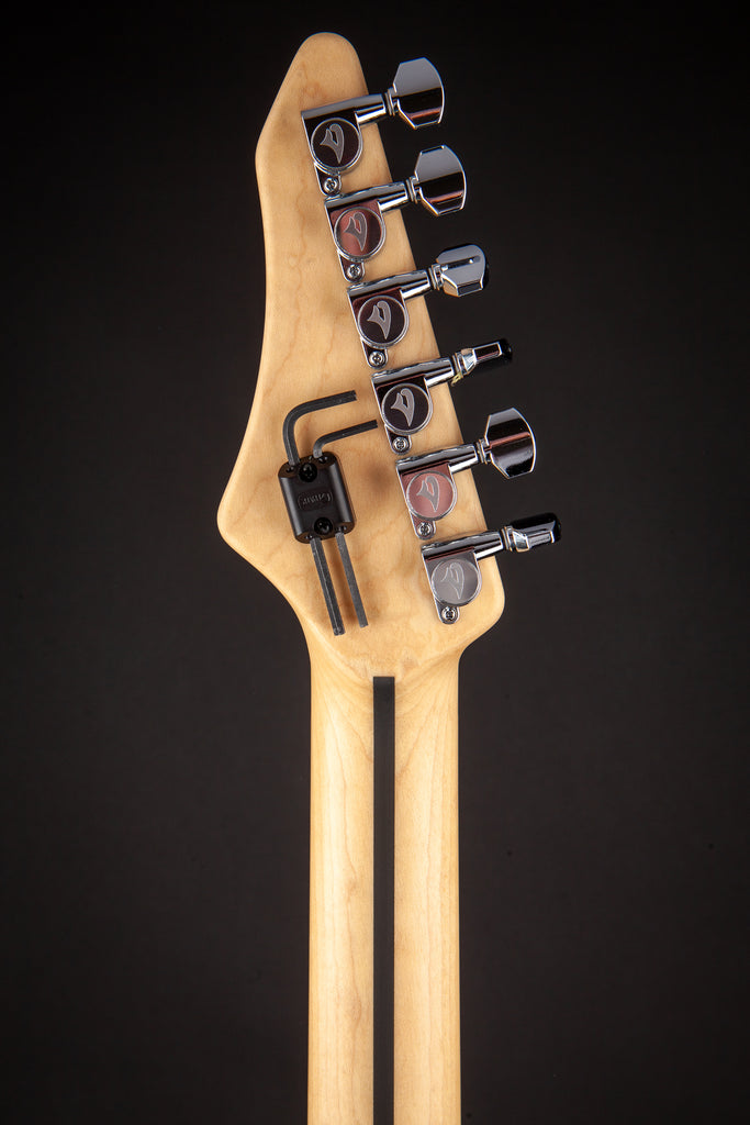 Vigier Guitars: Excalibur Original 'Rock Art' #170113 – World Guitars